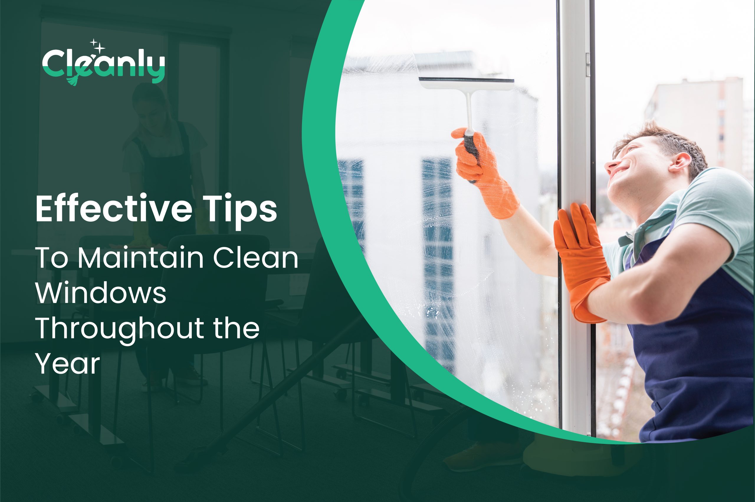 Effective Tips to Maintain Clean Windows Throughout the Year - Best ...
